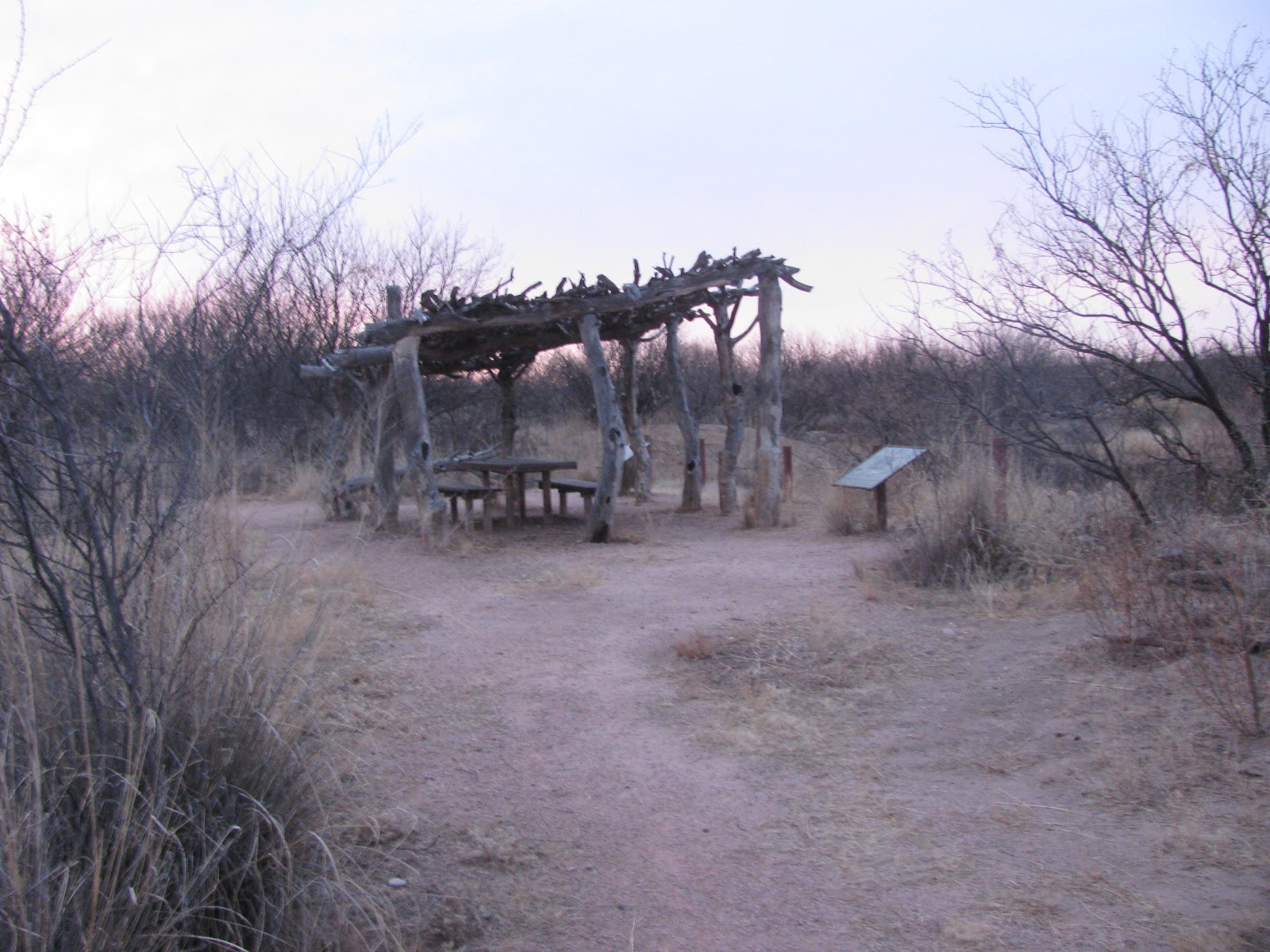 Backyard Excursions: Murray Springs Mammoth Kill Site